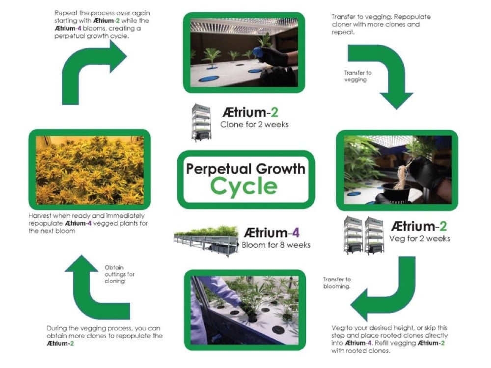 AEtrium System Accelerates The World's Natural Growth
