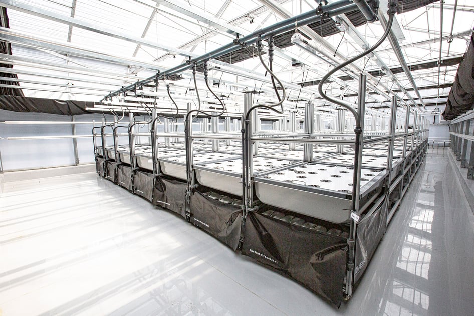 AEtrium-4 - Aeroponic Growing System For The Best Flowers