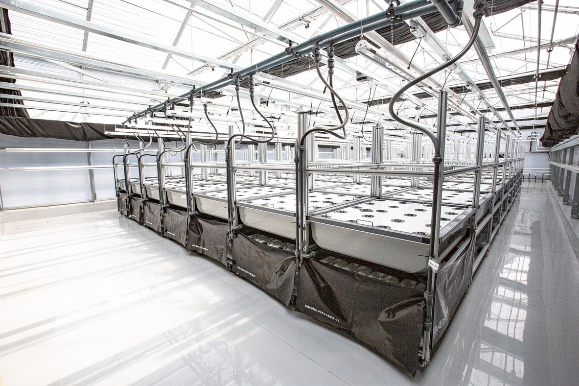 AEtrium-4 - Aeroponic Growing System For The Best Flowers