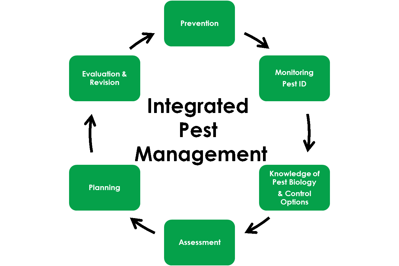 Letters From The AEssenseGrows Plant Science Team - Building An IPM Plan