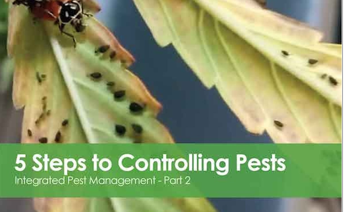 Integrated Pest Management: Part 2 - 5 Part IPM Plan Webinar