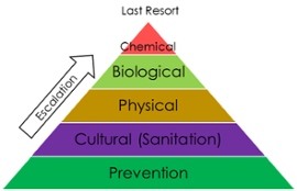 Integrated Pest Management Plan Recommendations